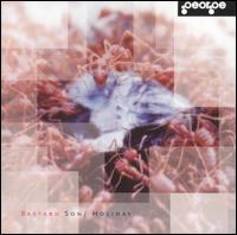 George [AU] - Bastard Son - hitparade.ch